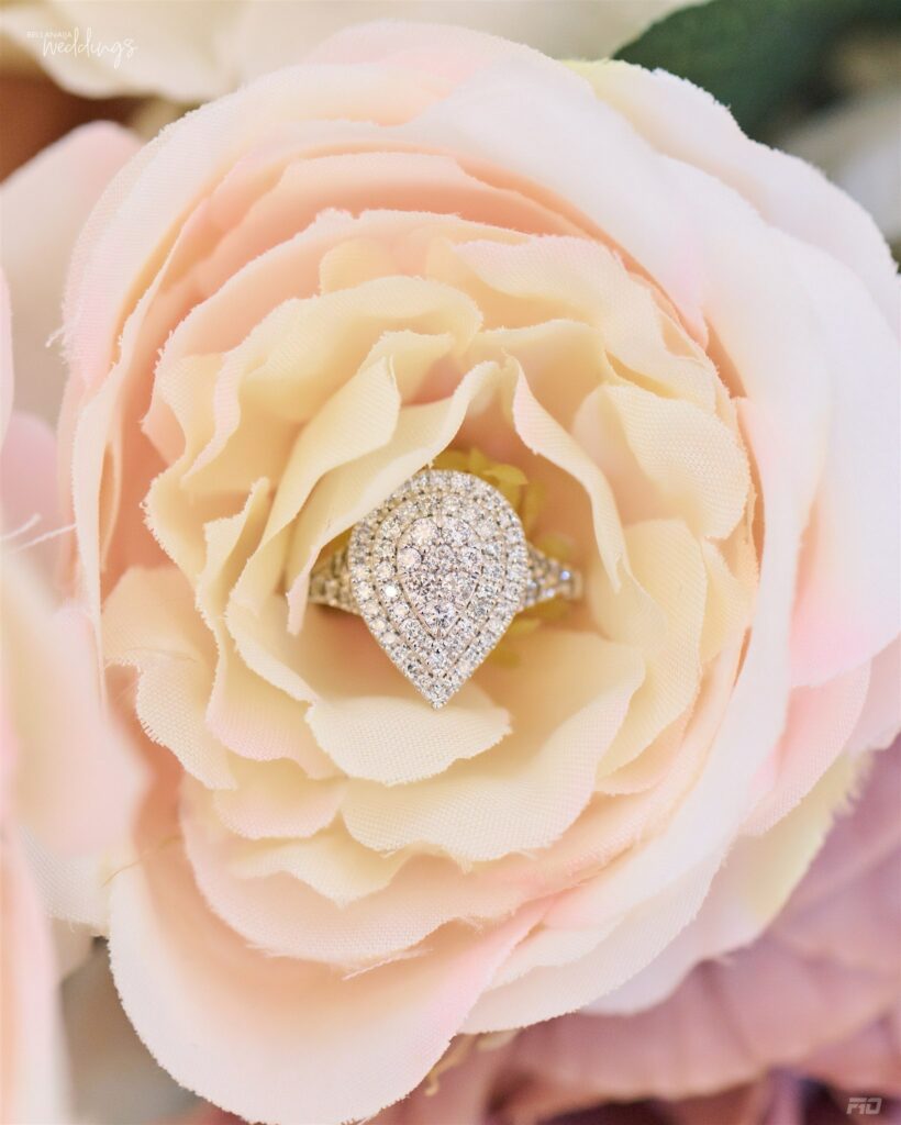 "As I Laid Eyes on Her, I Knew She Was the One!" Tomi & Collins' #BNBling