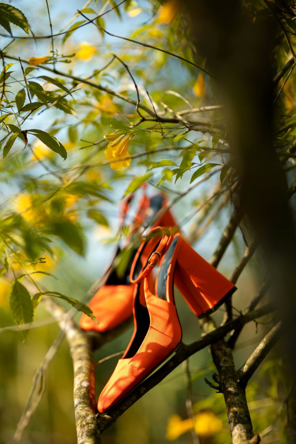 Bask In The Beauty of Culture With Grace and Ife's Yoruba Trad